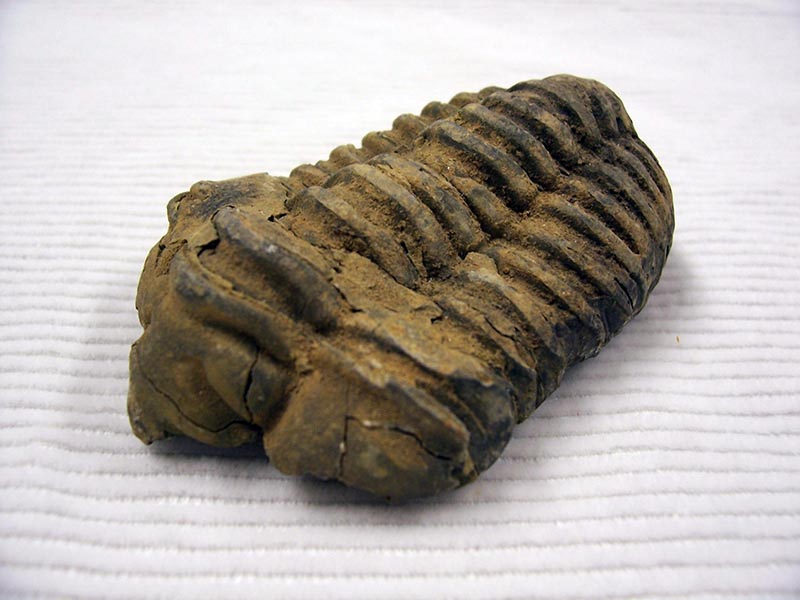 Terra Crystal Galleries - Soapstone for the Carver -- Rare Earths ...